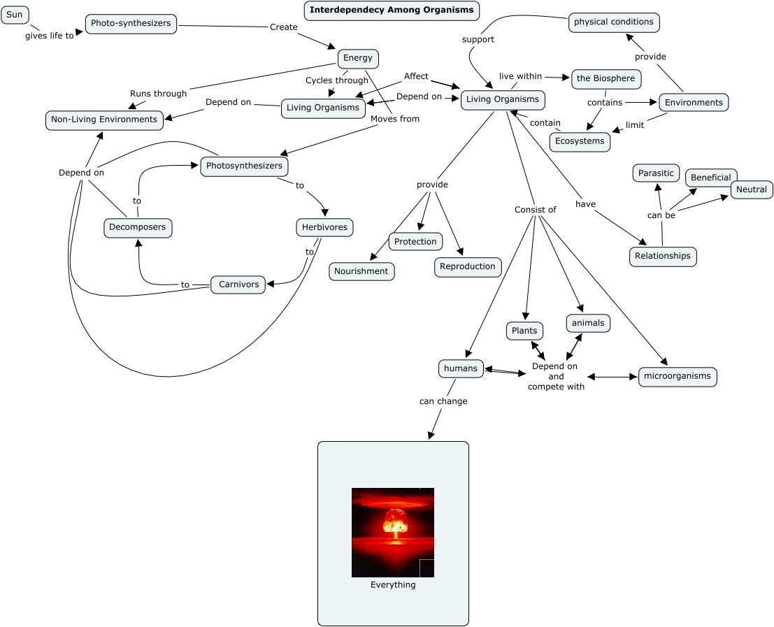 McCormick_CMAP 2_Interdepency among organisms